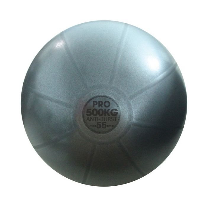 Anti-Burst Swiss Ball | Fitness-Mad