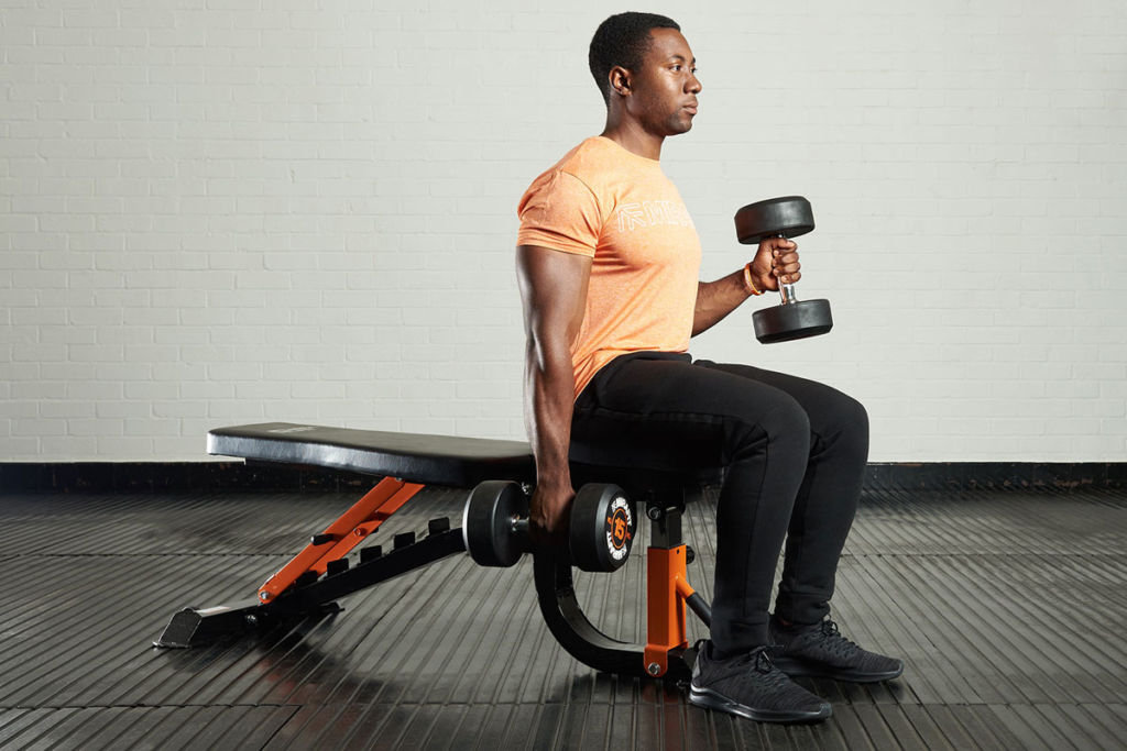 Starting on the Bench – Weight Bench Workout for Beginners | Mirafit