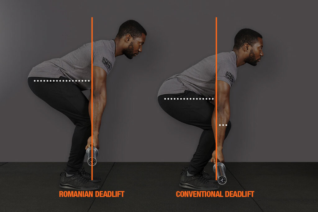 What Are Moment Arms? | Mirafit