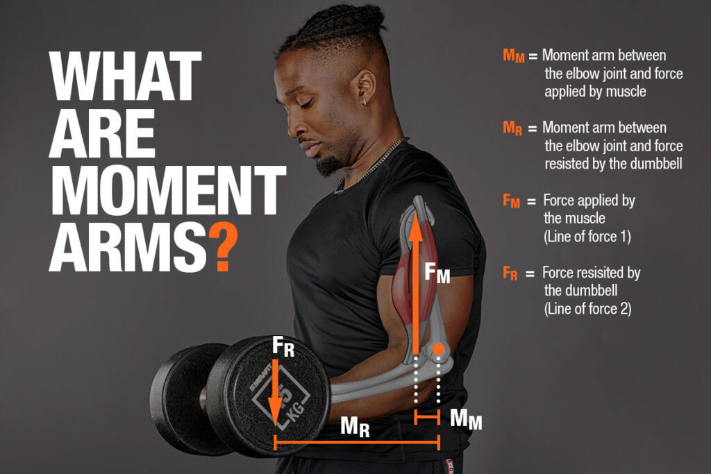 What Are Moment Arms? | Mirafit