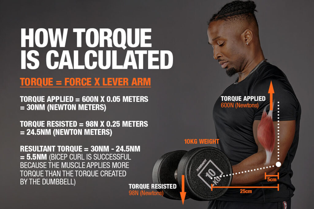How Torque Impacts Your Gym Sessions | Mirafit