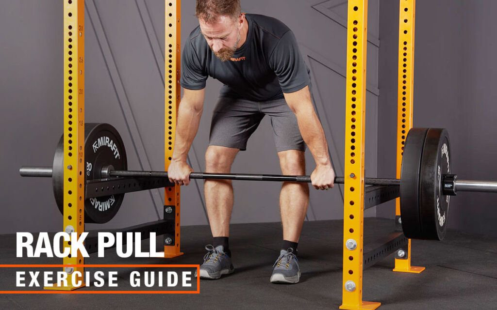 Bar and Weight Plate Back Exercises | Mirafit