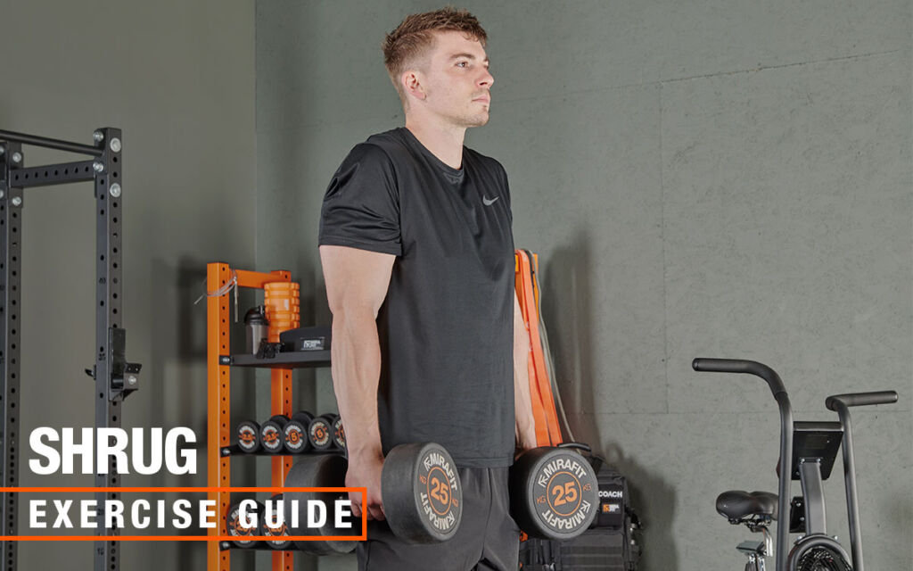 Dumbbell Shrug Barbell Shrugs Fitness Exercise Workout Animation