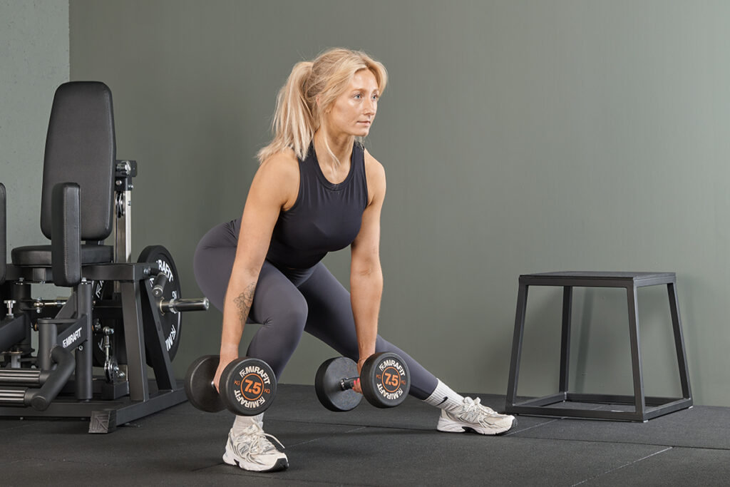 Adductor Muscles Exercises Gym