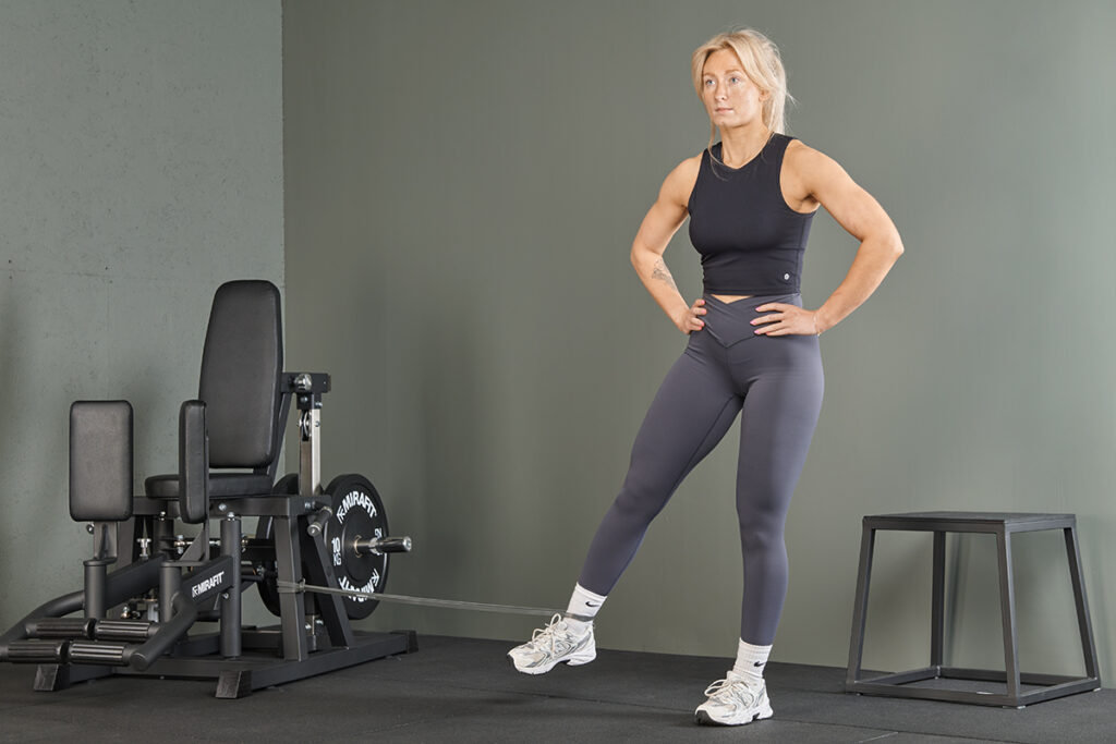 Adductor Muscles Exercises Gym